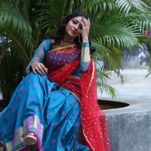 Bhanu Sri Wiki, Biography, Age, Images - wikimylinks