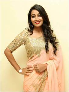 Bhanu Sri Wiki, Biography, Age, Images - wikimylinks